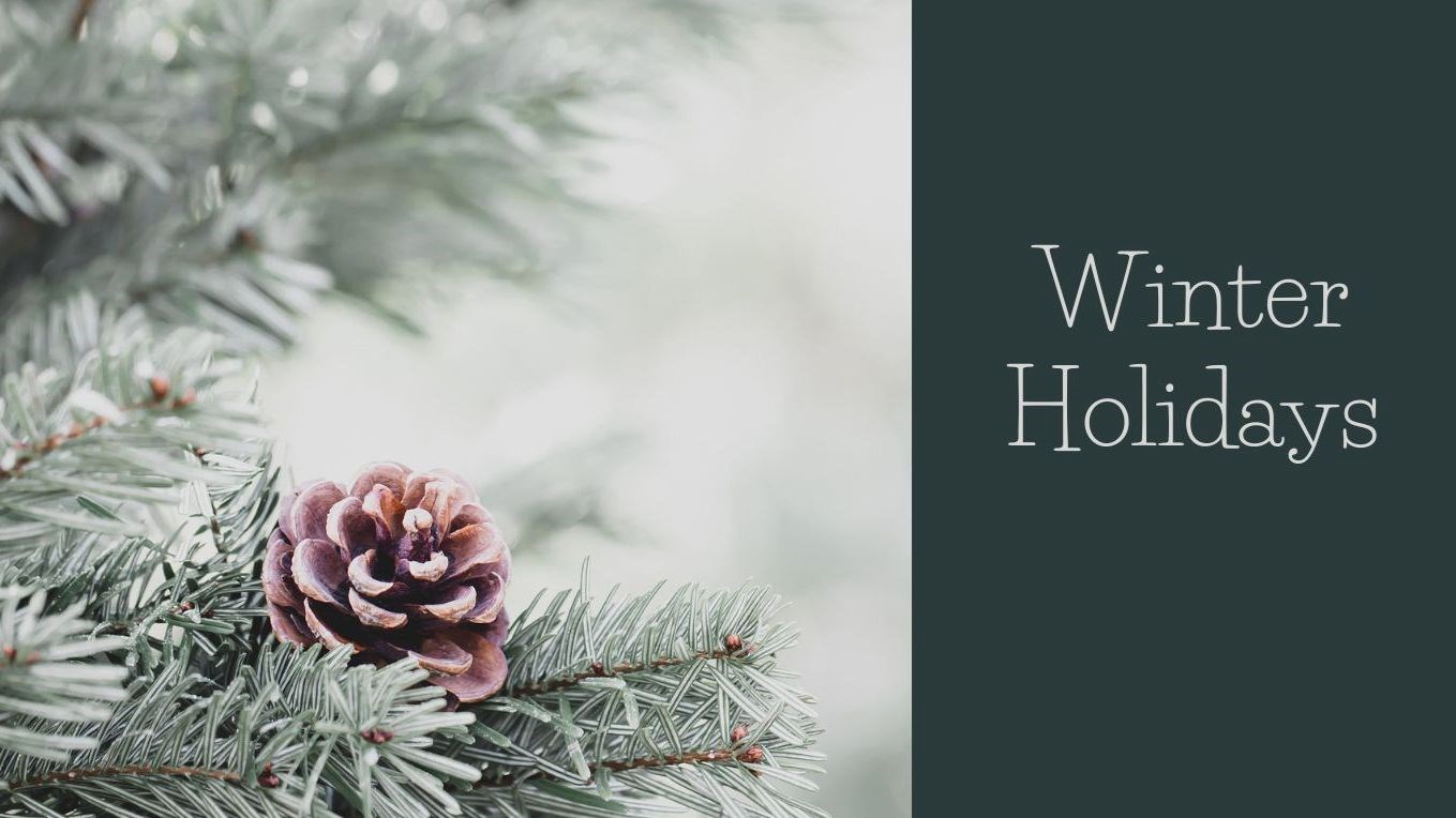 Still Elementary School