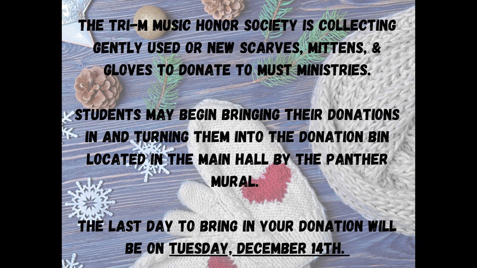 Scarf, Hat, and Mitten Drive (click here...)